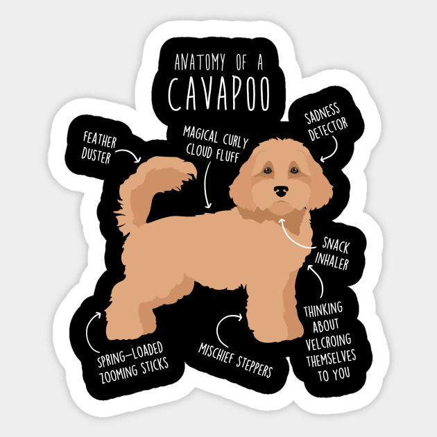 Cavapoo Dog Anatomy - Cavapoo - Sticker | TeePublic